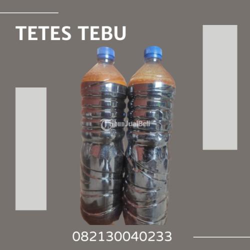 Tetes Tebu Asli Di Bogor