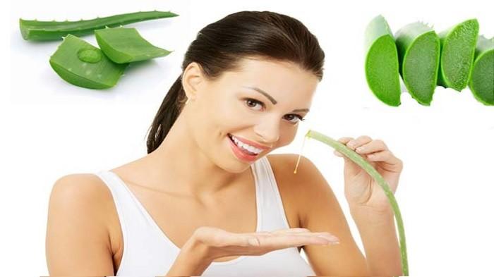 Tips Mencerahkan Kulit Wajah Dengan Tanaman Lidah Buaya Blog